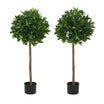 Aeron 49" Artificial Topiary Bay Tree Ball with Black Plastic Pot - 2p ...