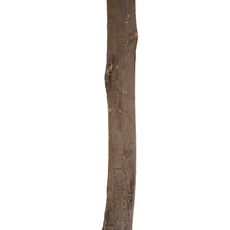 Aeron 49" Artificial Topiary Bay Tree Ball With Pot - 2pcs – GDFStudio