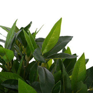 Aeron 49" Artificial Topiary Bay Tree Ball With Pot - 2pcs – GDFStudio