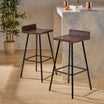 Hazel Indoor Bar Stools, Modern, Contemporary (Set of 2) – GDFStudio