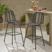 Jessie Outdoor Wicker Barstools (Set of 2) – GDFStudio