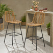 Jessie Outdoor Wicker Barstools (Set of 2) – GDFStudio