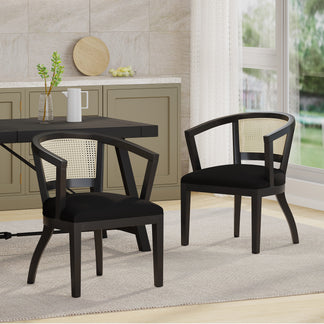 Delwood Traditional Upholstered Wood and Cane Dining Chairs, Set of 2 ...