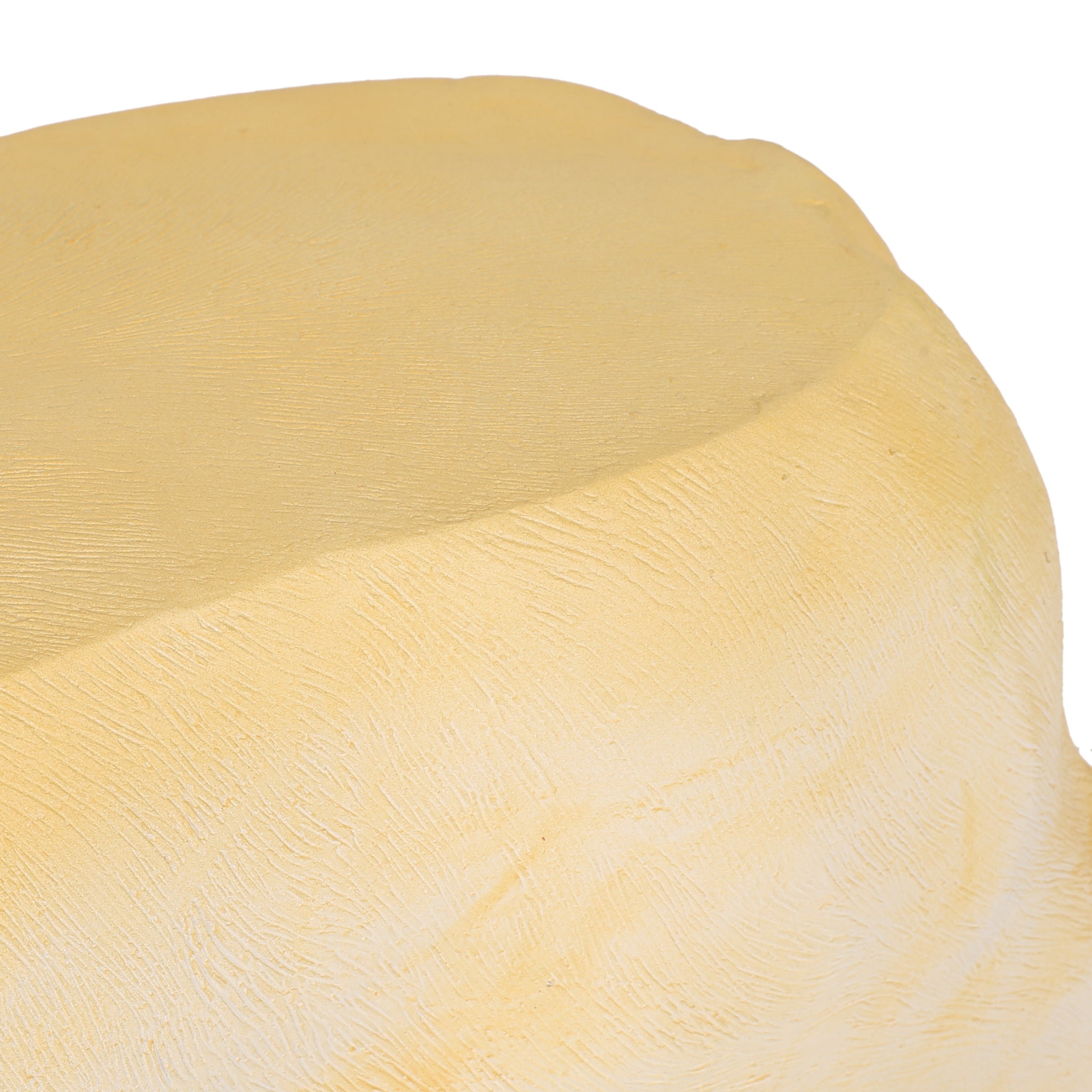 Hargis Outdoor Labrador Dog Garden Bench, Light Brown – GDFStudio